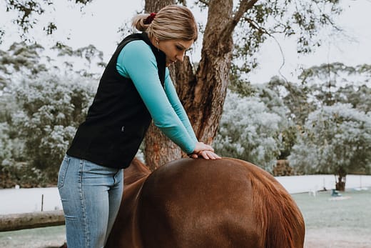 Cape Equine Veterinary Services – Looksi